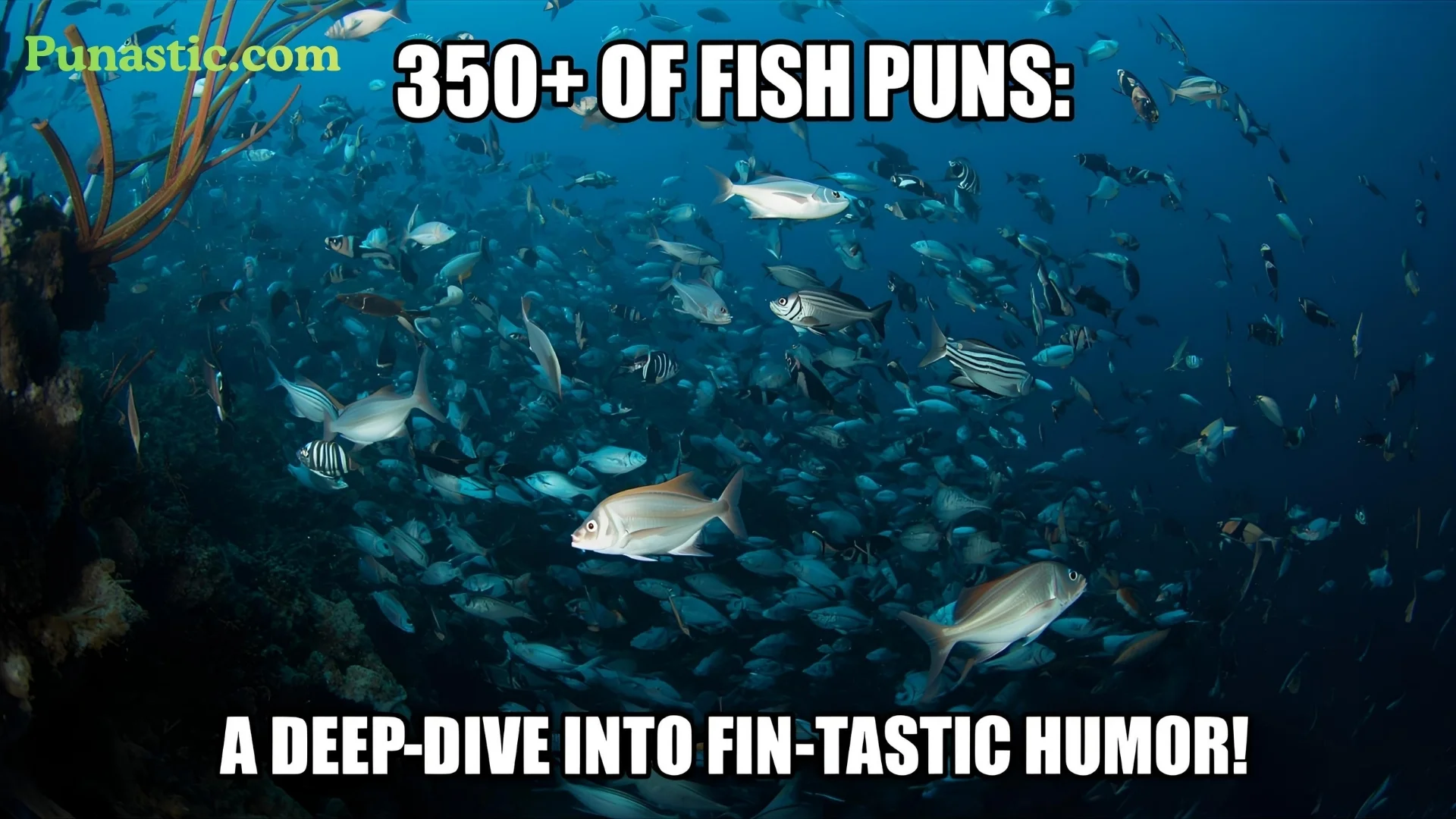 A Fin-tastic School of Fish Puns to Make You Laugh